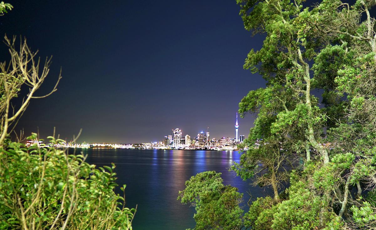 Auckland Festival of Photography Art and Contemporary Art, Auckland ...